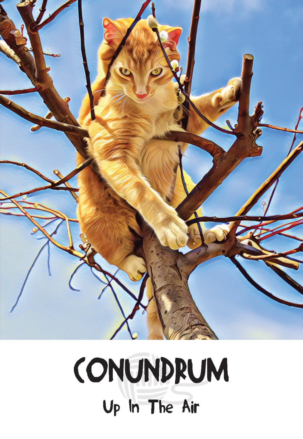 Cosmic Cat Wisdom Cards - EnlightenUp