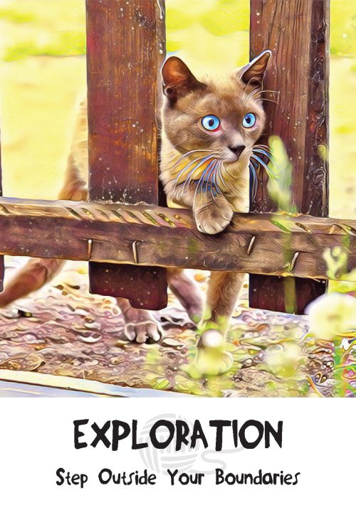 Cosmic Cat Wisdom Cards - EnlightenUp