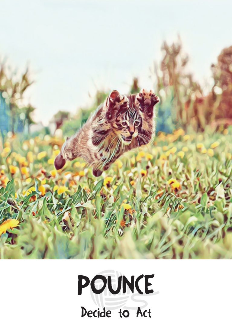 Cosmic Cat Wisdom Cards - EnlightenUp