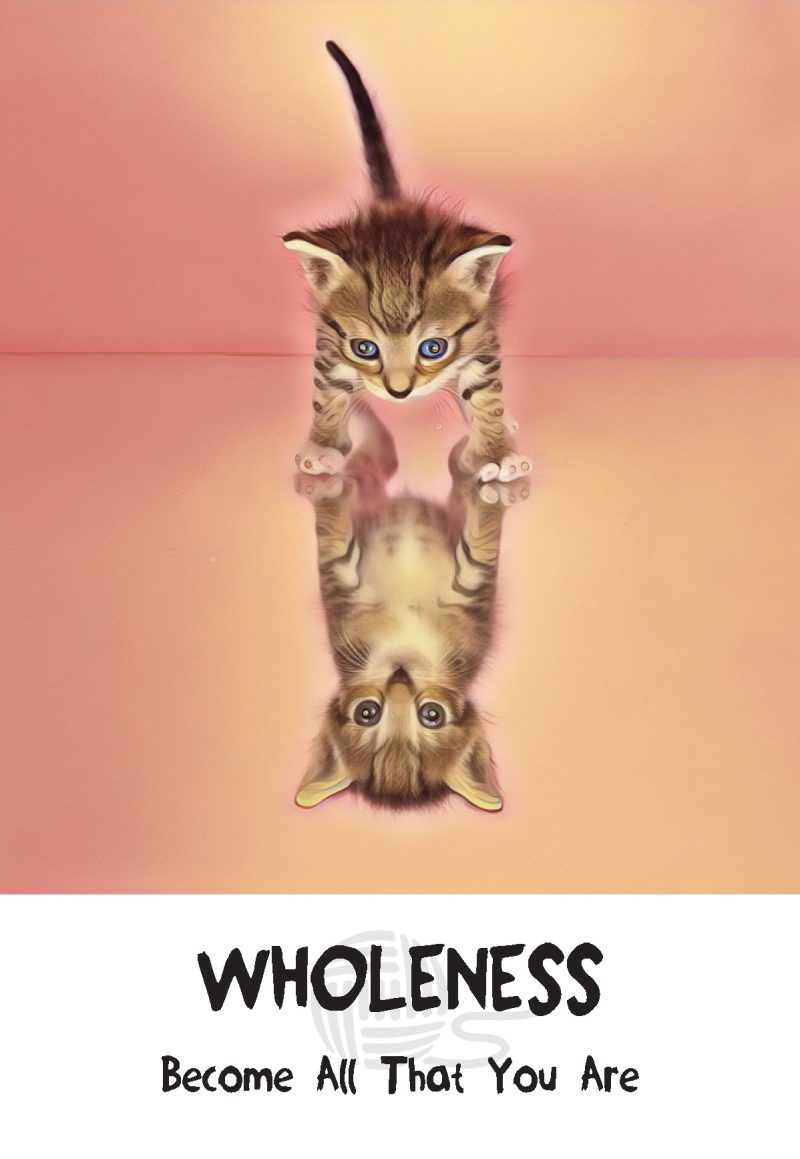 Cosmic Cat Wisdom Cards - EnlightenUp